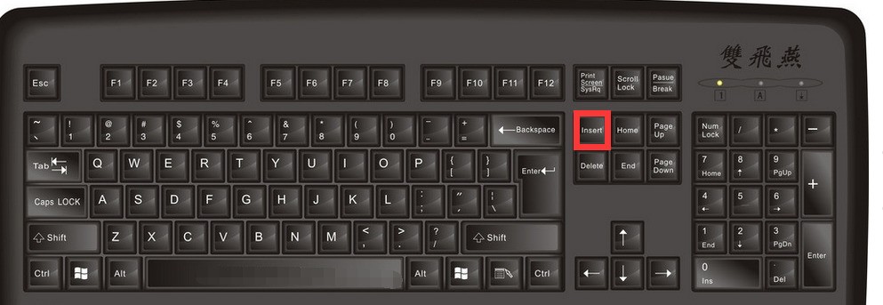 电脑键盘里的INS/NUMLK是什么意思-ZOL问答