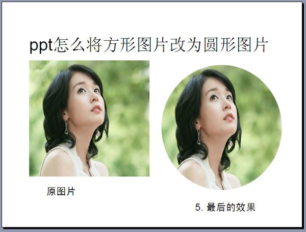 在word中,肿么把简历上的方形图片改为圆形图片,急急急-ZOL问答