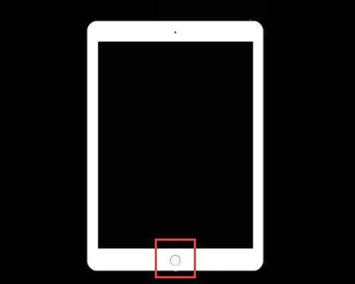 我ipad亮下出现白苹果后就一直黑屏是为什么-ZOL问答