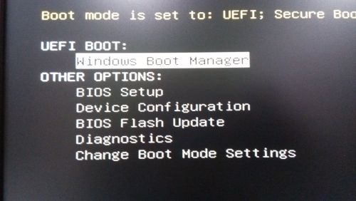 戴尔开机显示三个continue,BIOS setup,diagnostics英文选项肿么-ZOL问答