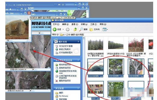 cad怎么一次导出多页pdf-ZOL问答